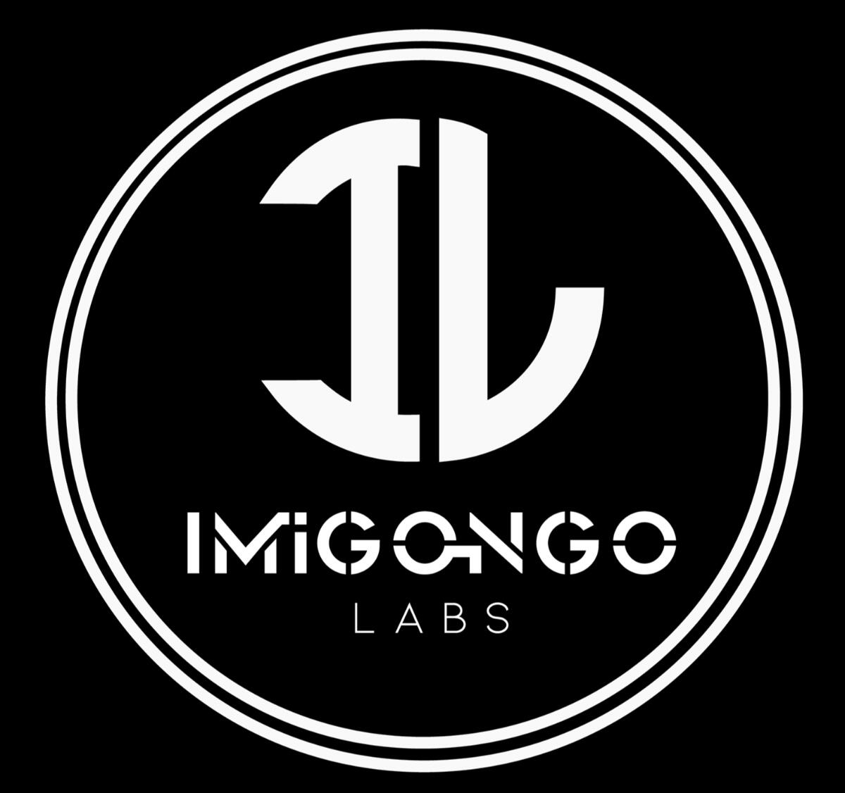 Imigongo Labs